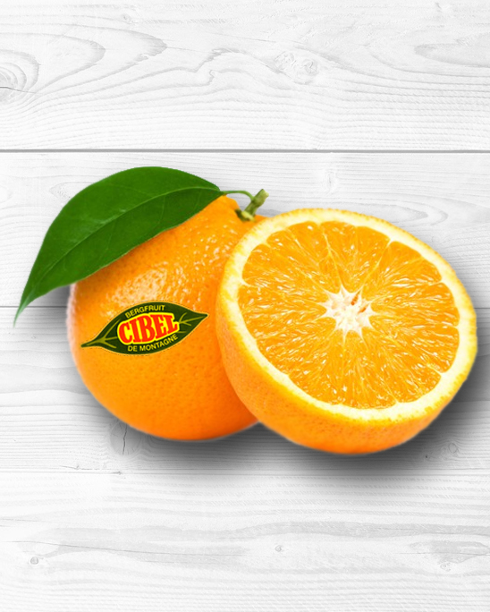 Appelsien les rives - Huis Vanassche